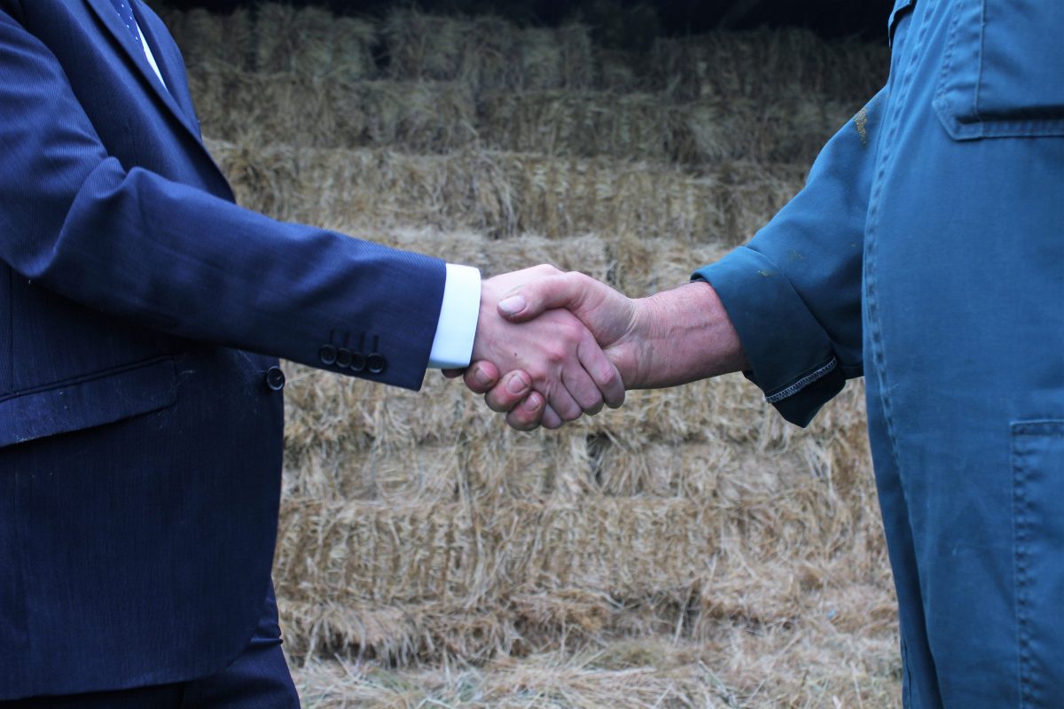 Reading of the Will? - Innes Dean